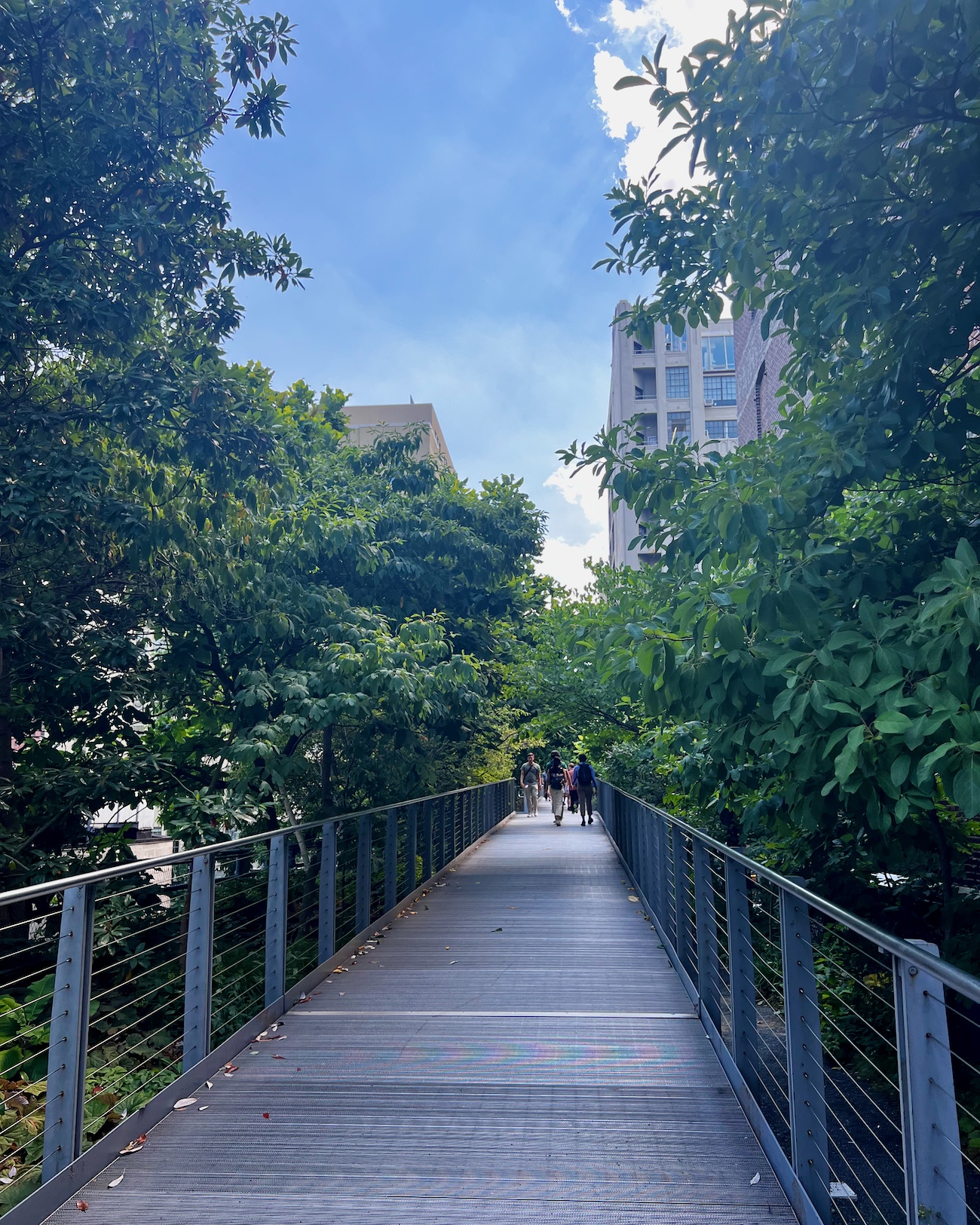 Walk The High Line in New York for Beautiful Views - Live Fit Magazine